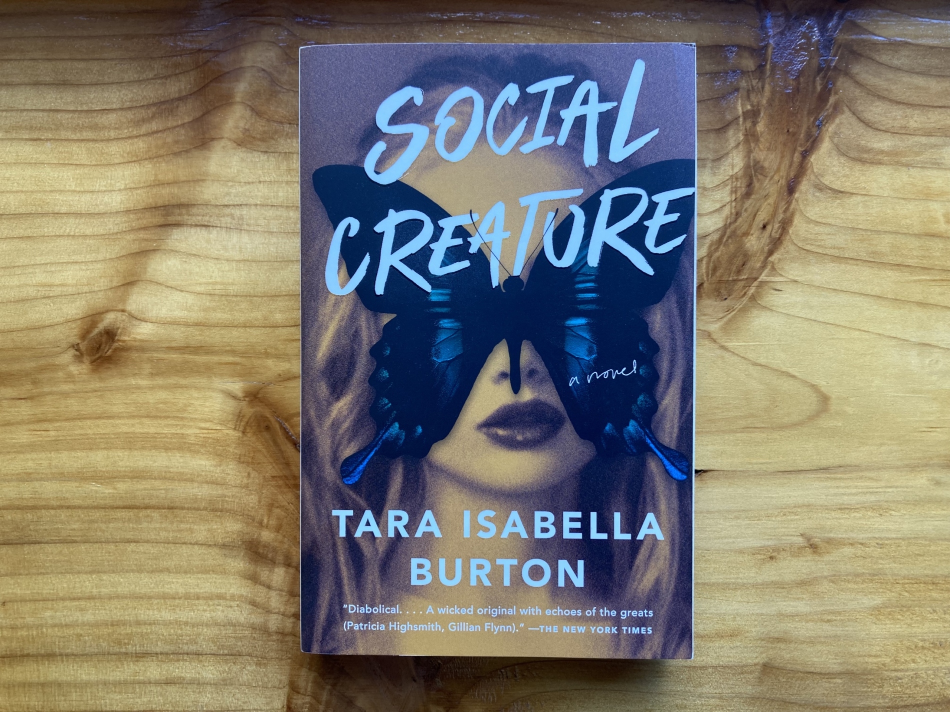 Fiction Reviewed: Social Creature (Tara Isabella Burton, 2018 ...